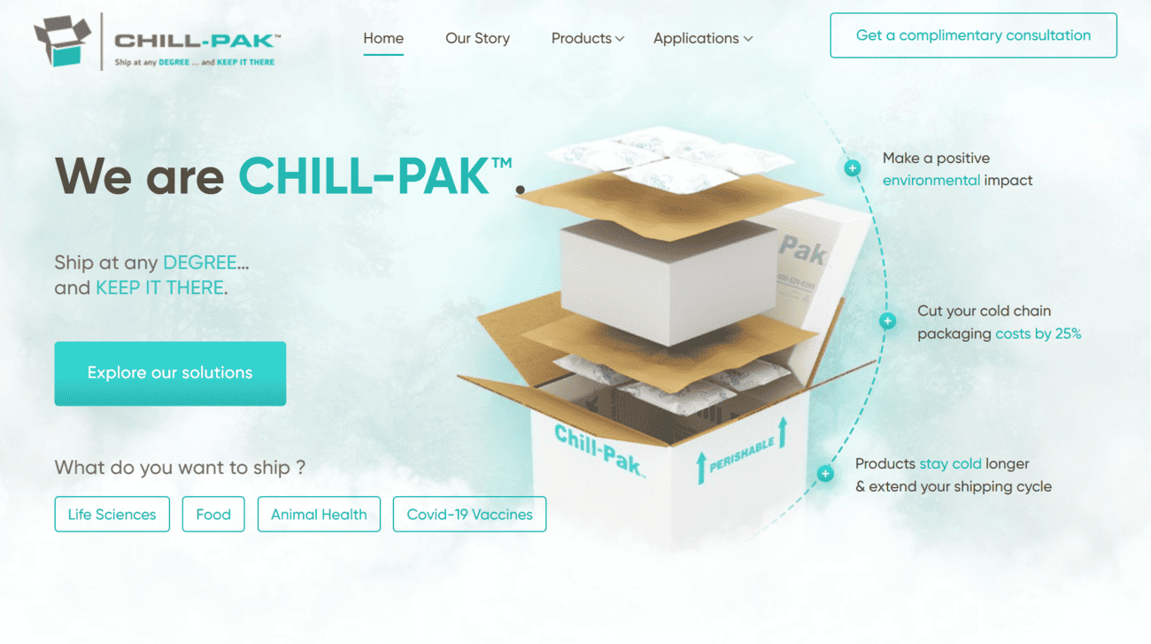 LEIS Portfolio | Our Work & Success Stories